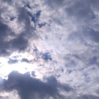 Next of Kin | One Bite At a Time